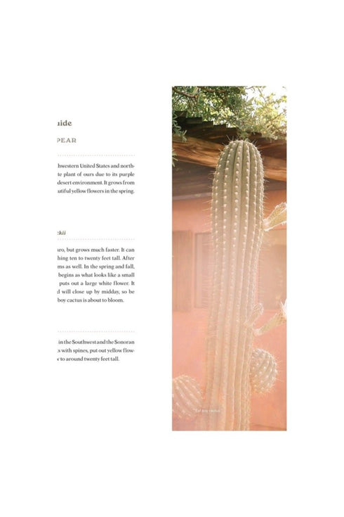At Home In Joshua Tree Book – Prism Boutique