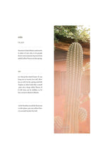 At Home In Joshua Tree Book — Prism Boutique