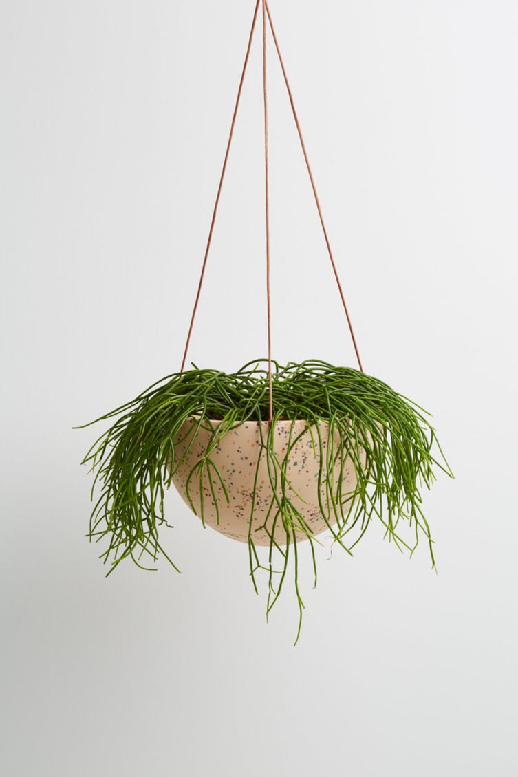 Salt Terrazzo Dome Hanging Pot – Prism Boutique