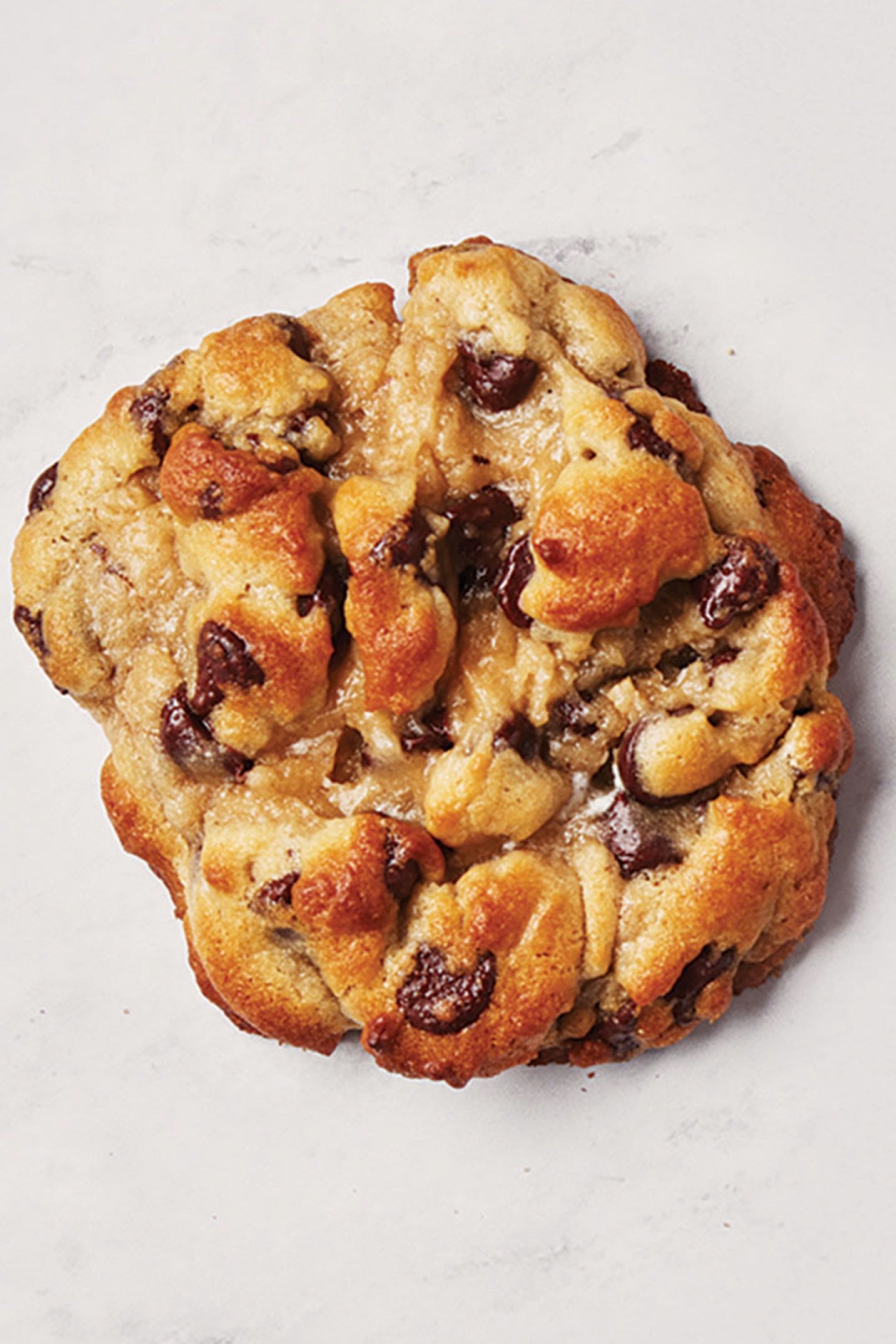 Chocolate Chip Cookie – Prism Boutique