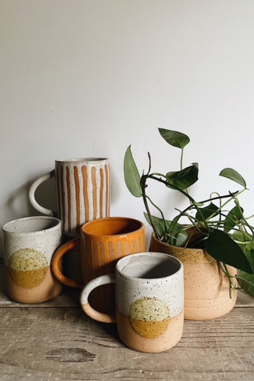 Classic Solar Cup — Prism Boutique