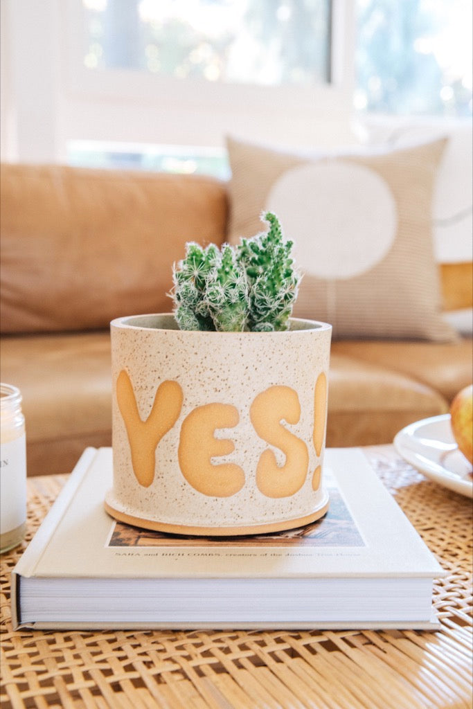 Cream Pot Of Yes — Prism Boutique